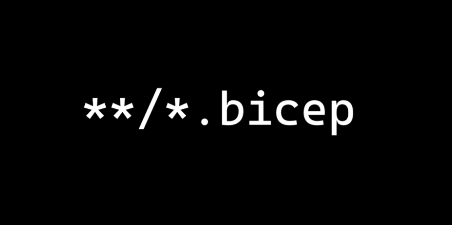Bicep pattern parameter - Microsoft Playground